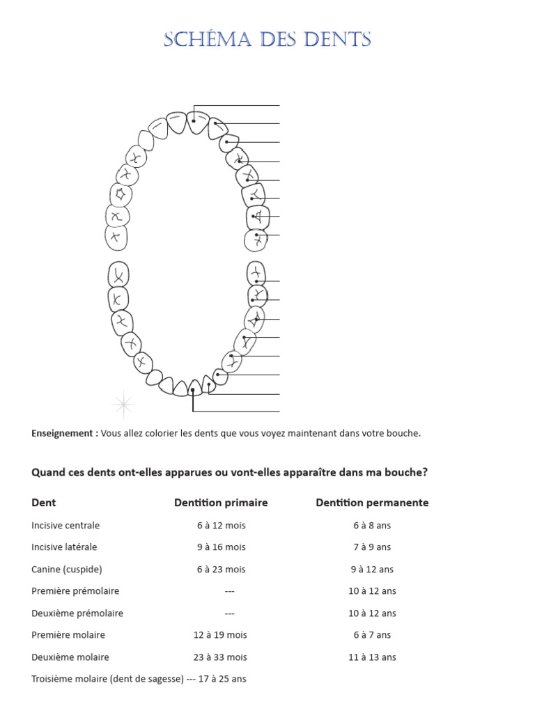 Schema-des-dentsh | PDF