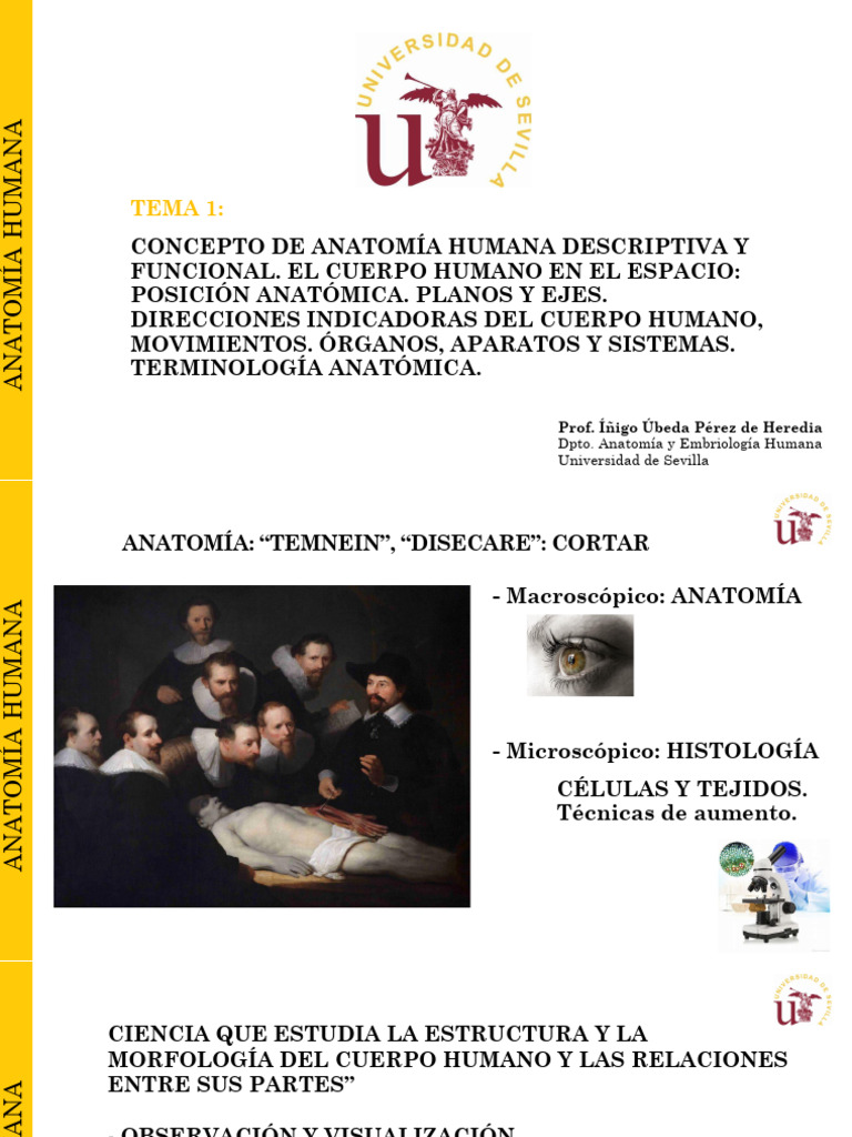 TEMA 1 - Conceptos de Anatomia | PDF