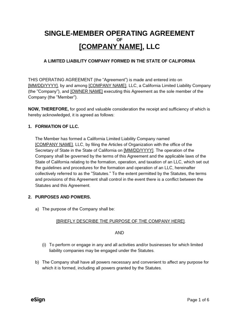 California Single Member LLC Operating Agreement Template | PDF
