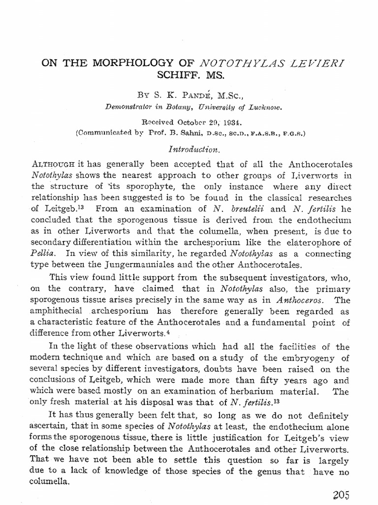 Notothylus Columellate | PDF