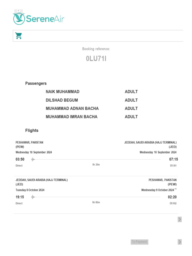 Travel Gate Naik Muhammad Er 18sep 21days TKT | PDF