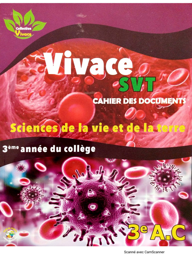 DOC Vivace 3AC-1 | PDF
