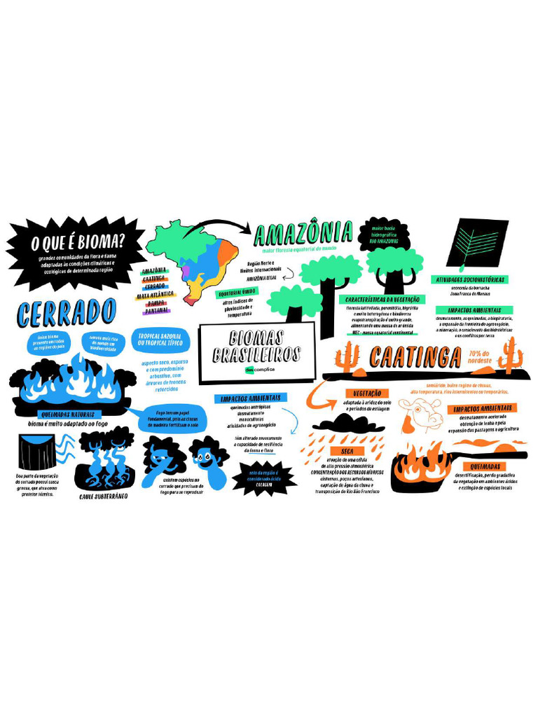 Biomas Brasileiros #1 | PDF