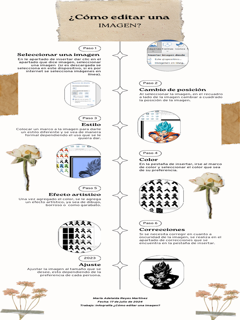 Infografía Cómo Editar Unamimagen | PDF
