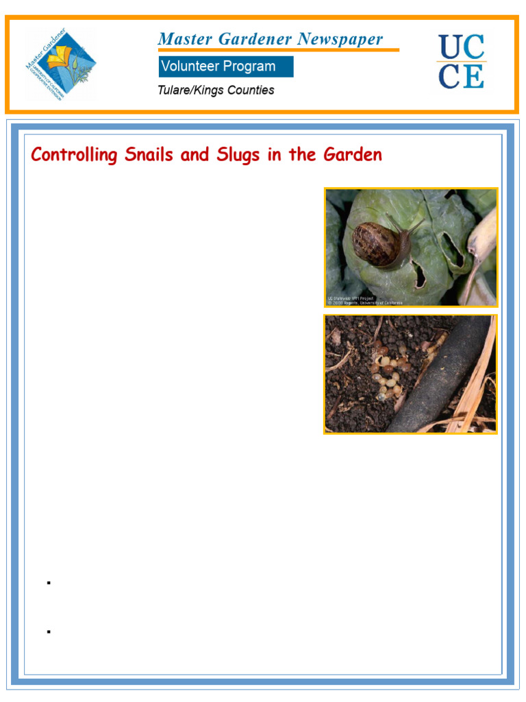 Controlling Snails and Slugs in The Garden: Master Gardener Newspaper ...