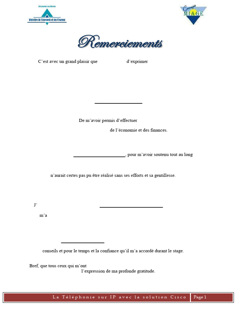 Rapport de Stage ToIP | PDF