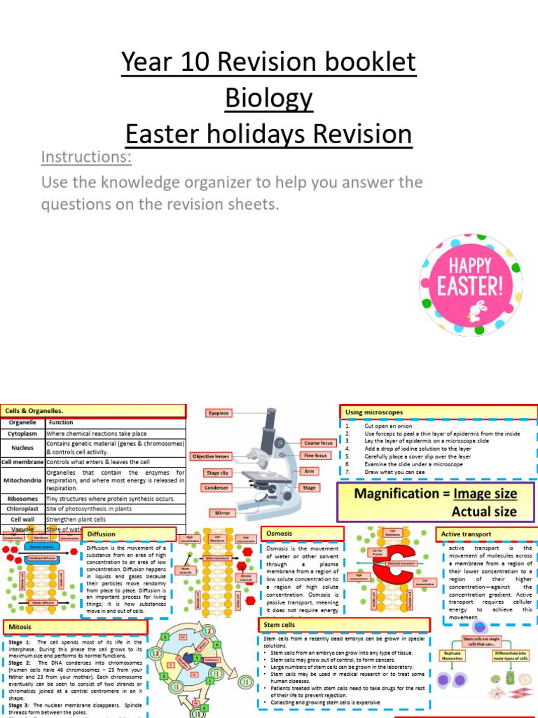 Year 10 Biology | PDF