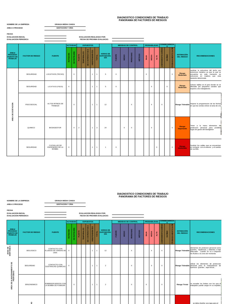 Matriz de Seguridad y Salud en El Trabaj | PDF