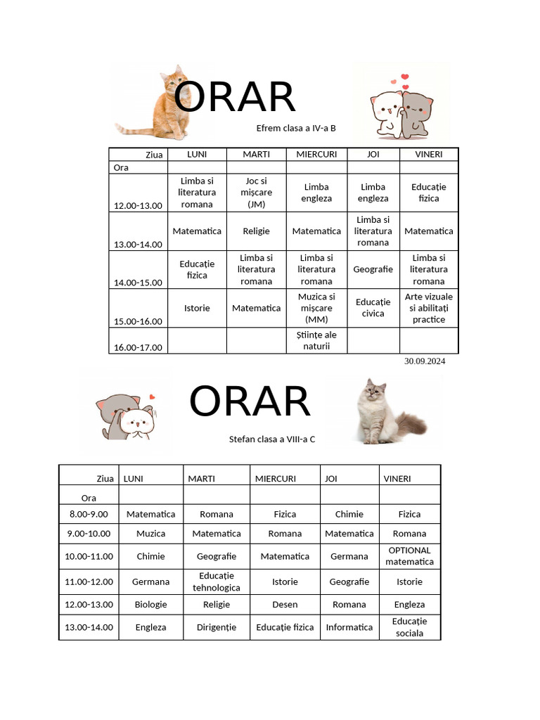 Orar_template | PDF