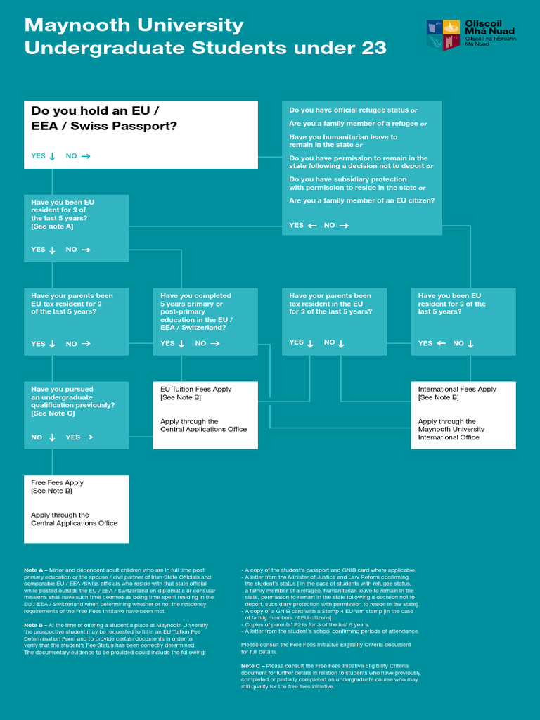 UpdatedNUI Flowchart Under 25 - 0 | PDF | Human Migration | Cultural ...