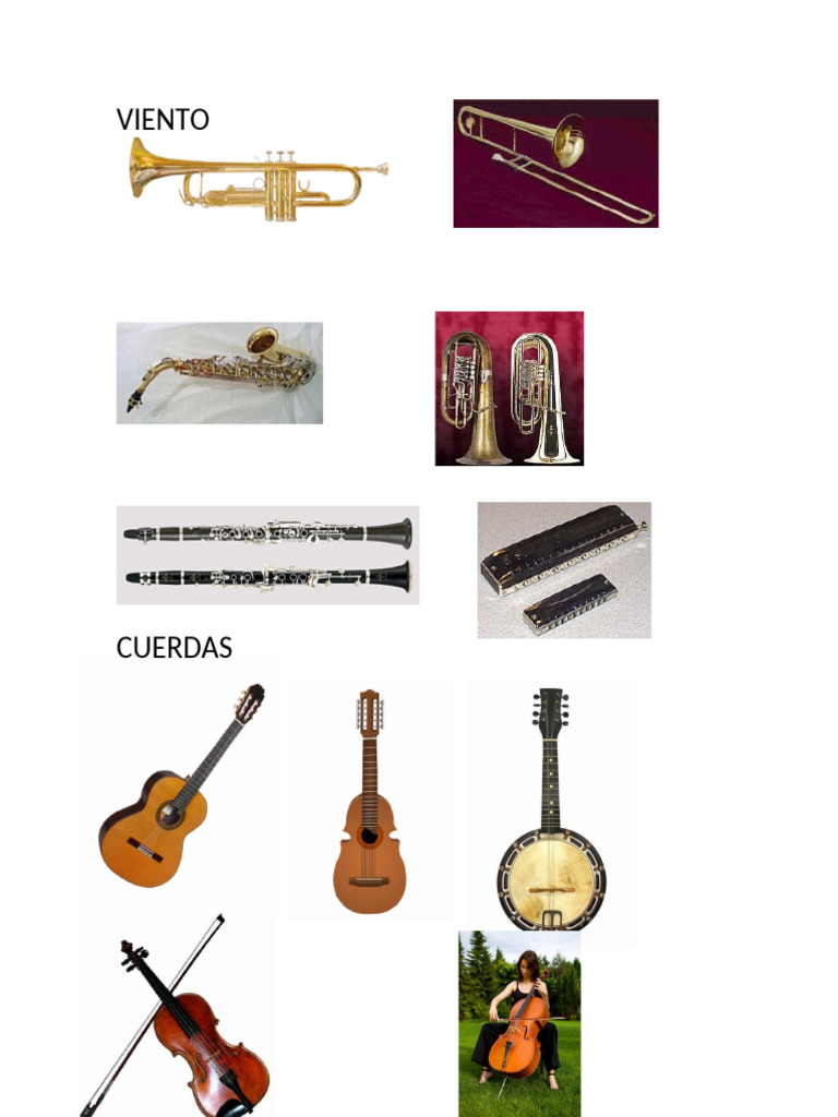 Instrumentos Musicales | PDF