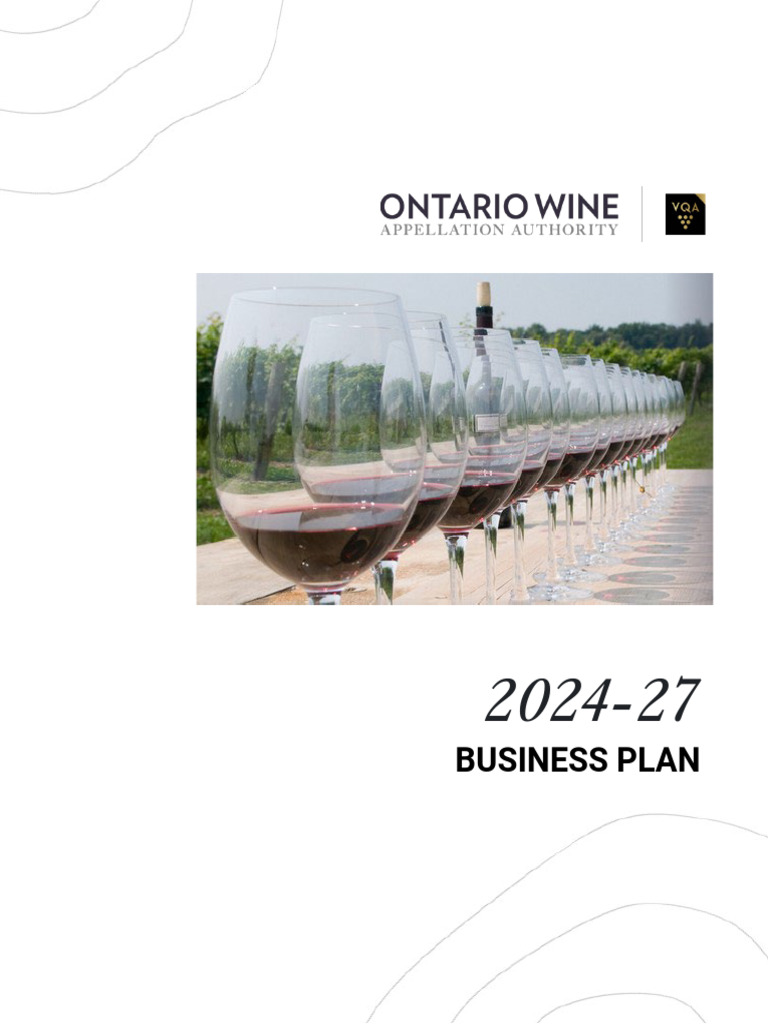 2024 27 Business Plan | PDF | Governance | Accessibility