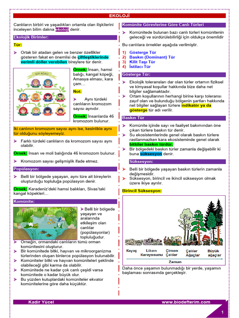comp-NEME SINAVI 2_Ornek | PDF