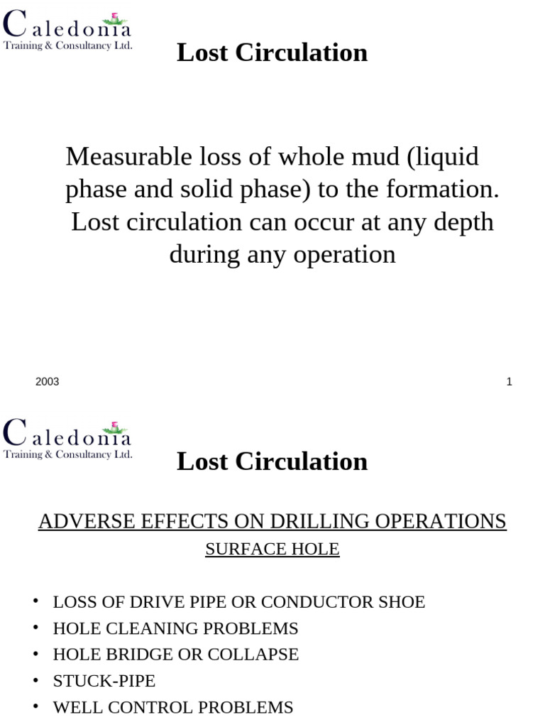 Lost Circulation | PDF