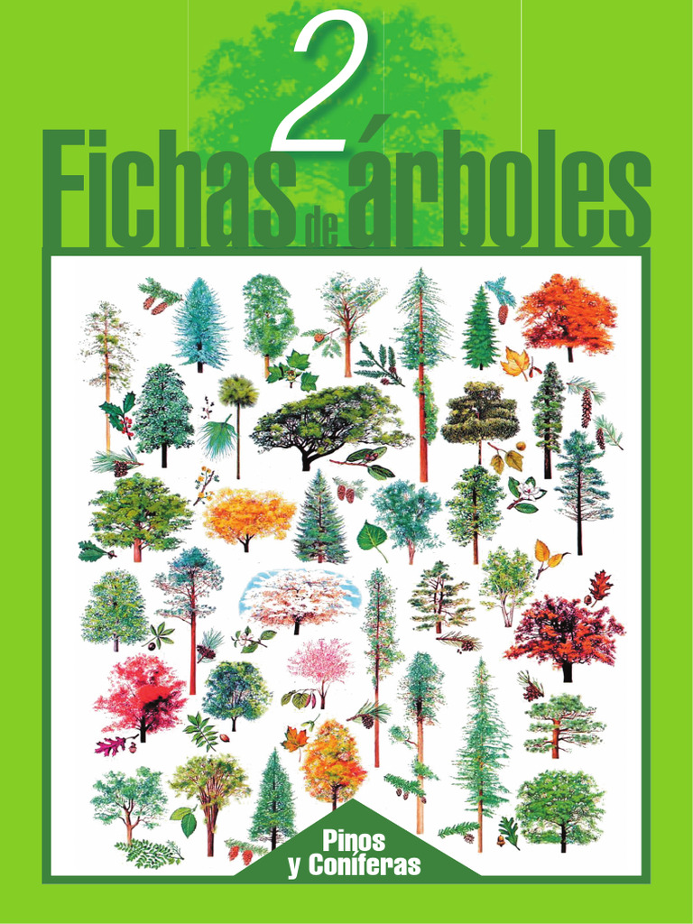 Arboles II (Fichas) | PDF