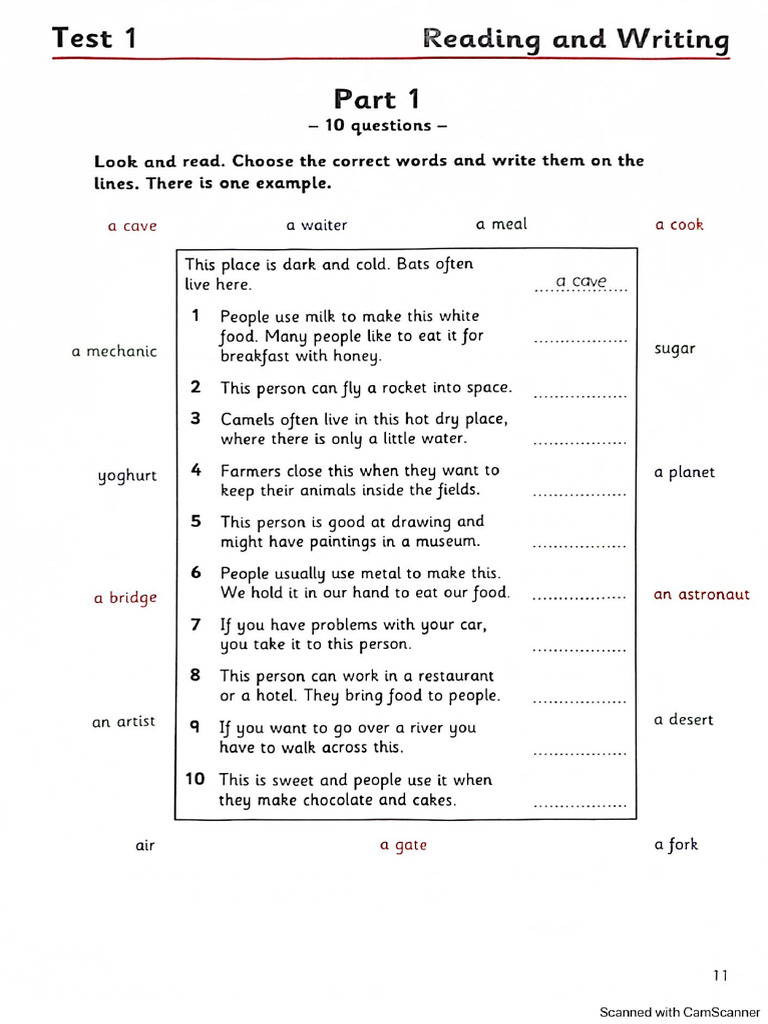 Flyers 4 Test 1 Reading | PDF