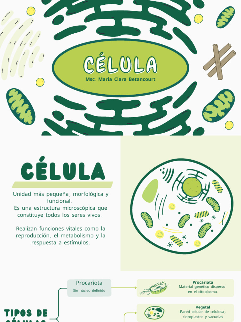 Célula | PDF