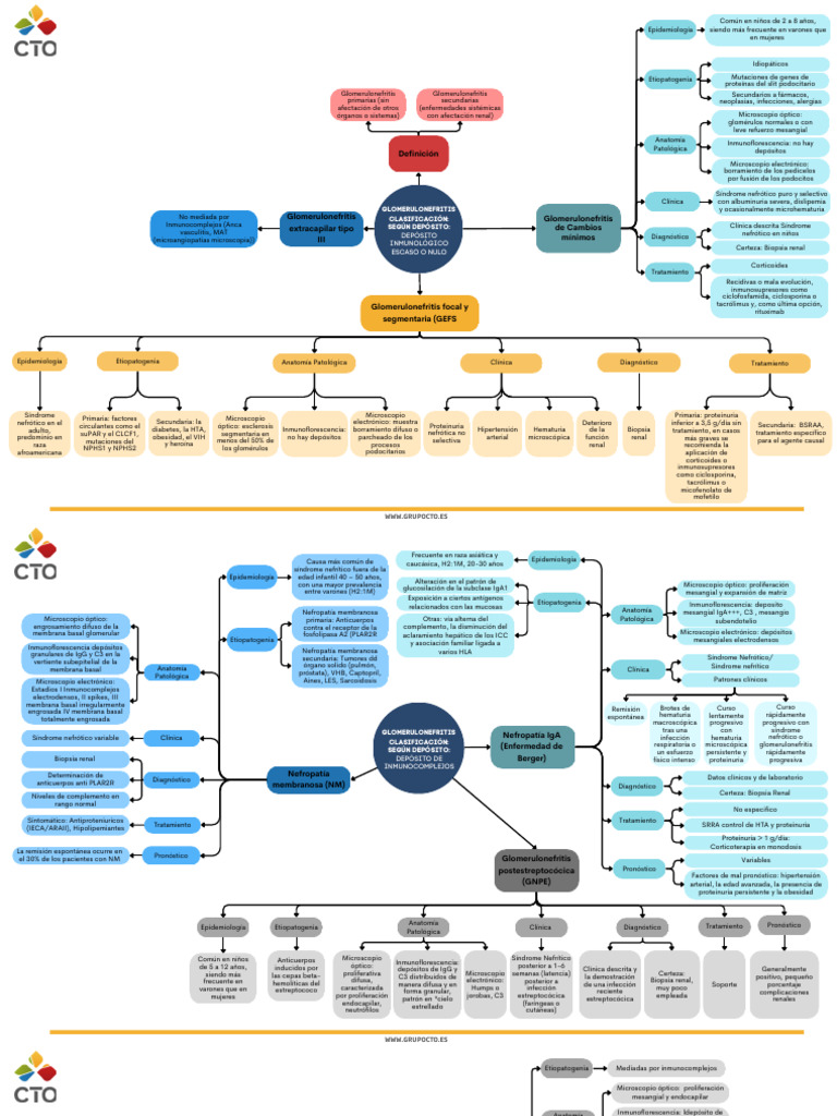 NF 7 | PDF