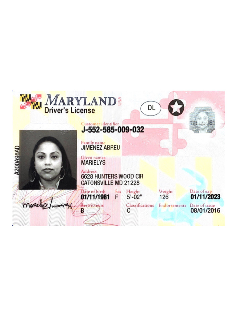 Driver's License | PDF