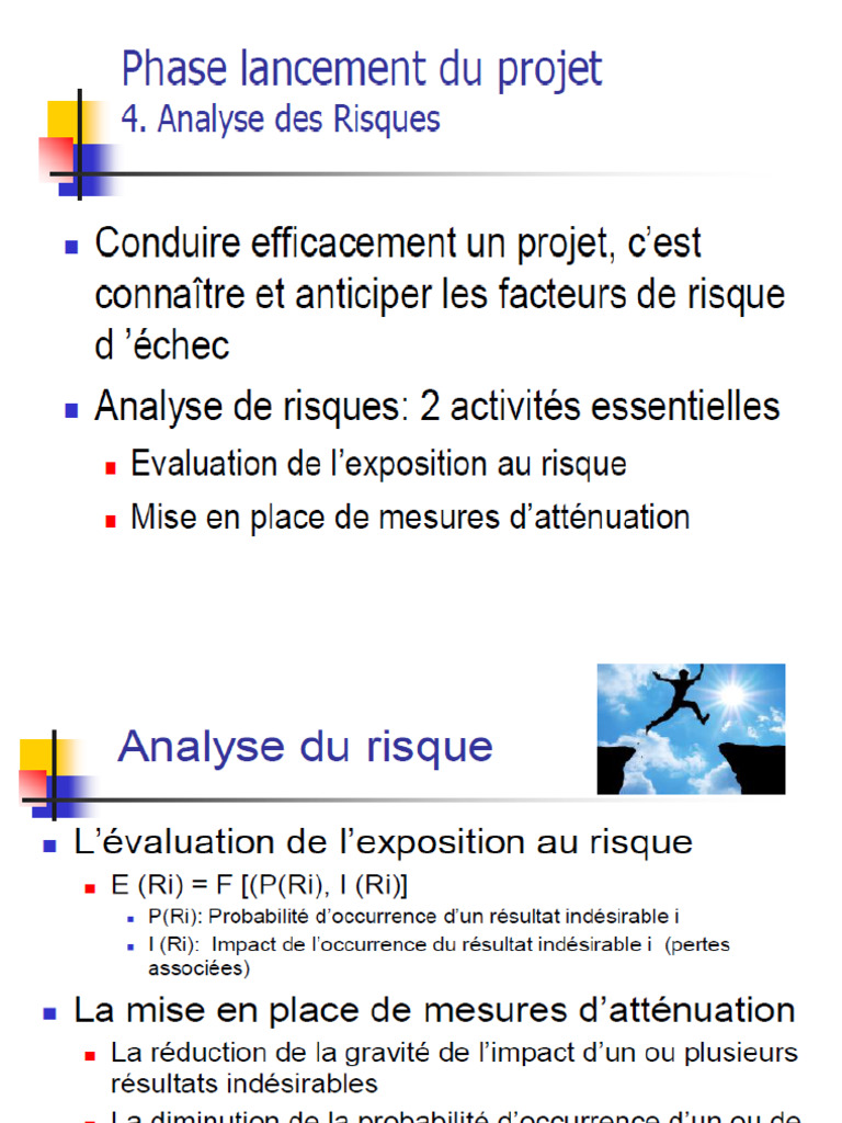 analyse des risques | PDF