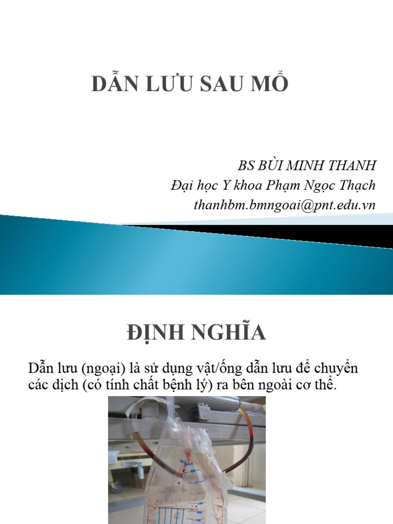LT Dan Luu Sau Mo | PDF