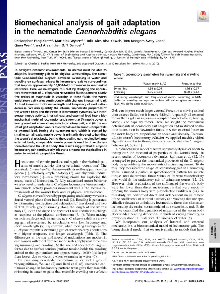 45 Biomech Gait Adaptation C.E. | PDF