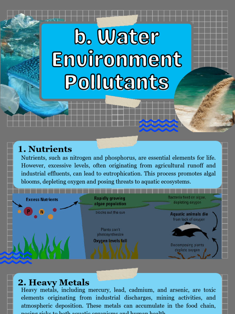 Cadmium Contamination in Urban Runoff | PDF | Water Pollution ...