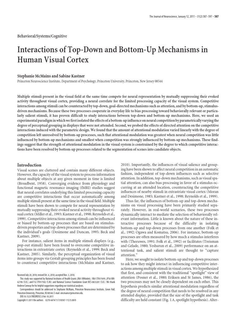 bottom up - top to bottom en memoria visual | PDF