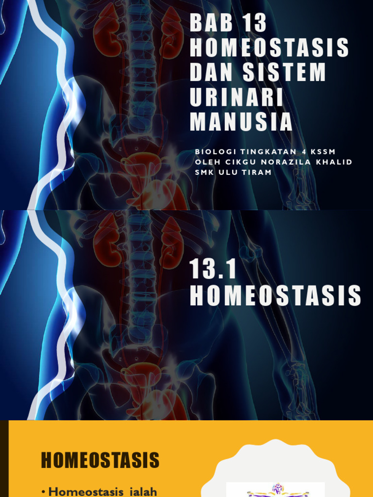 BIO T4 KSSM Bab 13 Homeostasis Dan Sistem Urinari Manusia Zila Khalid | PDF