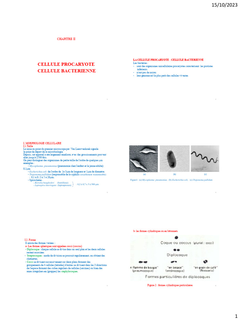 3 Chap 2 Cellule Procaryote | PDF