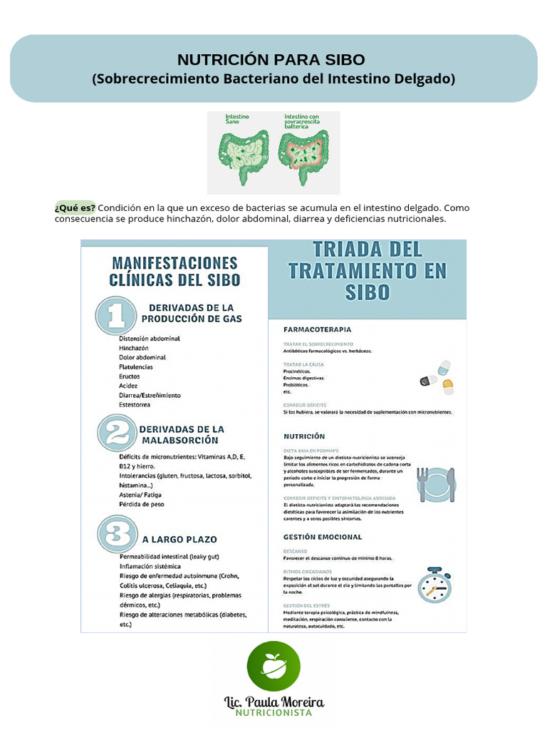 Nutrición para SIBO_20240730_111109_0000 | PDF