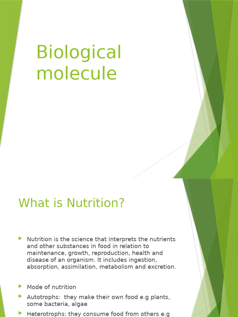 Biological Molecule | PDF | Carbohydrates | Nutrition