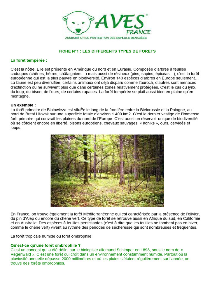Fiche No 1 Les Differentes Forets | PDF