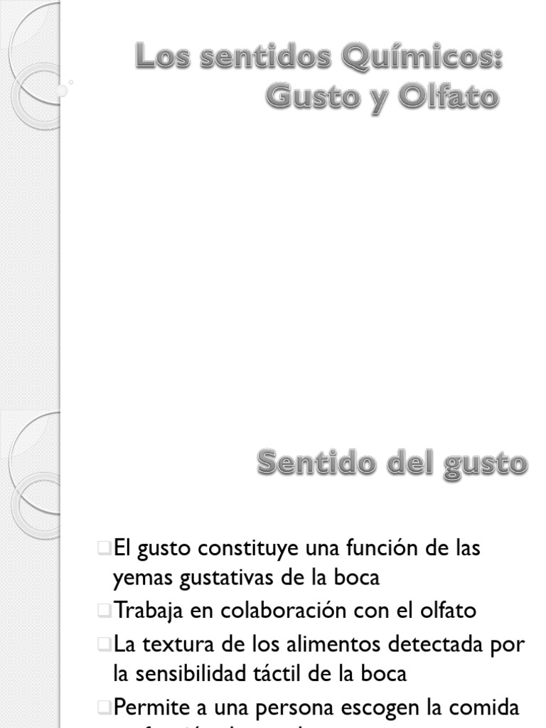 Los Sentidos Químicos Gusto y Olfato | PDF