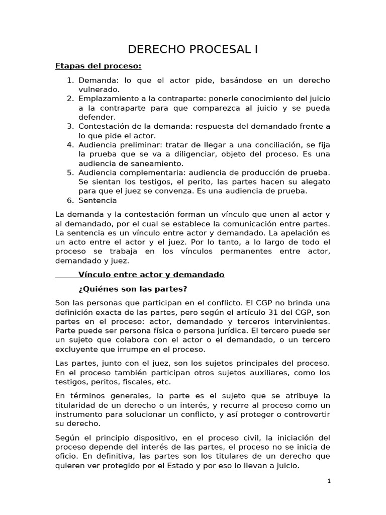 Derecho Procesal I | PDF