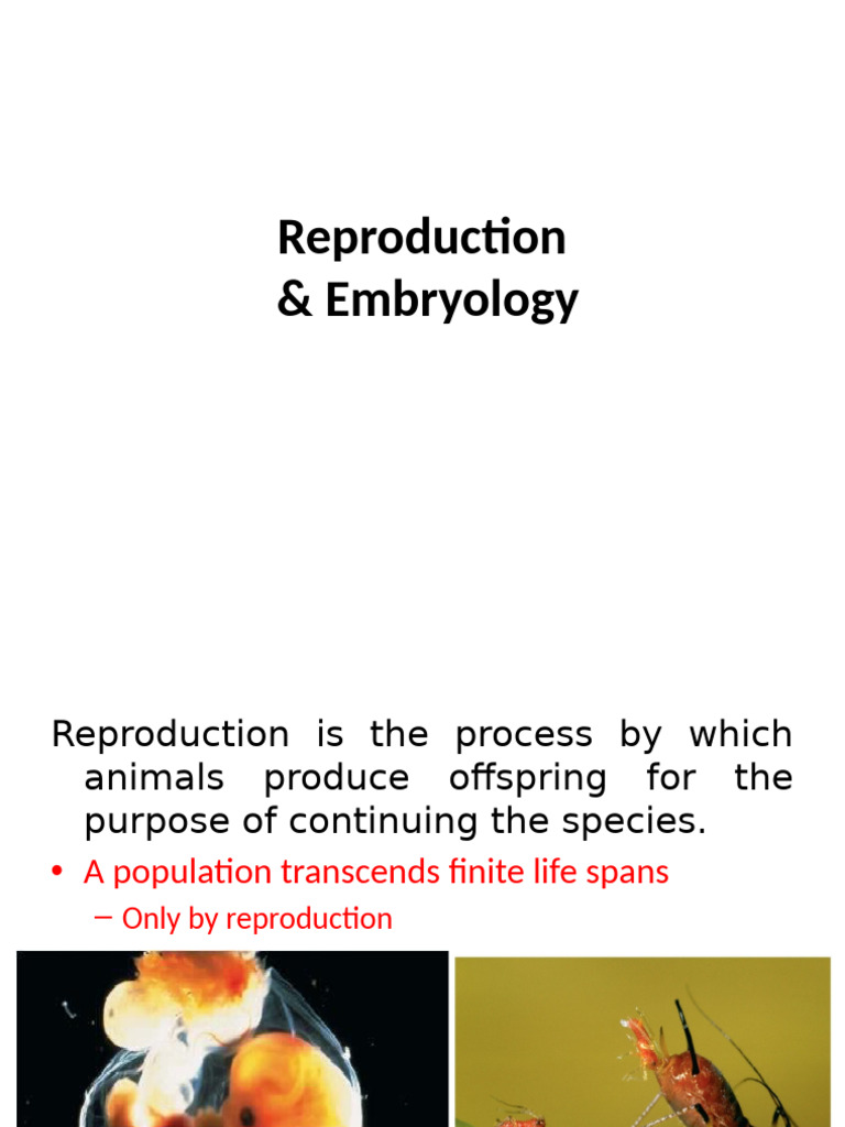 4 .Reproduction & Embryology | PDF