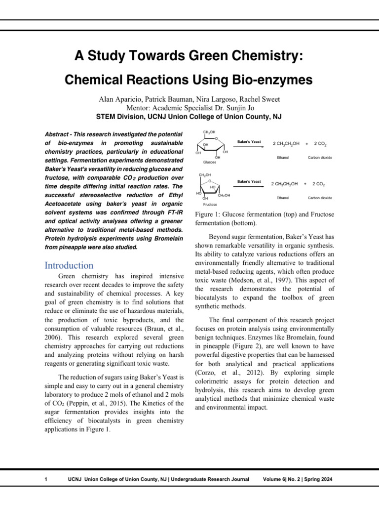 IRAP-Summer24-Research Journal-New template | PDF