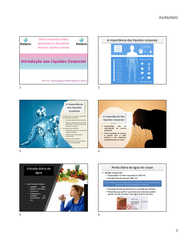 Aula 01 - Introduc A o Aos Li Quidos Corporais. | PDF