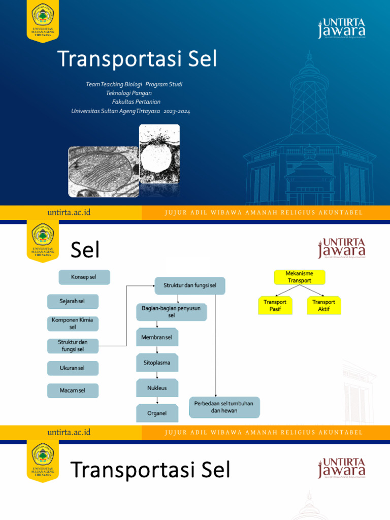 Pertemuan 3 Transportasi Sel | PDF