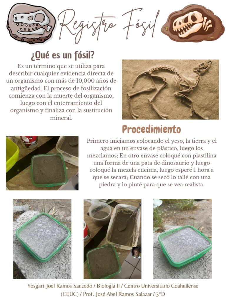 Registro Fósil | PDF
