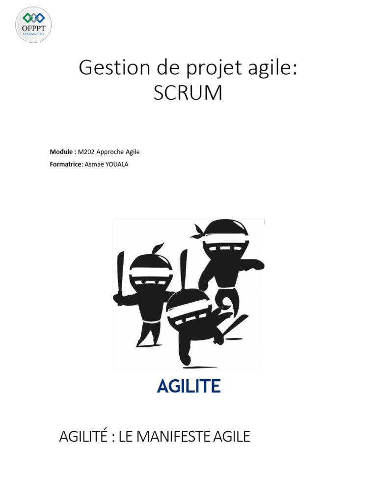 Approche Agile - SCRUM | PDF