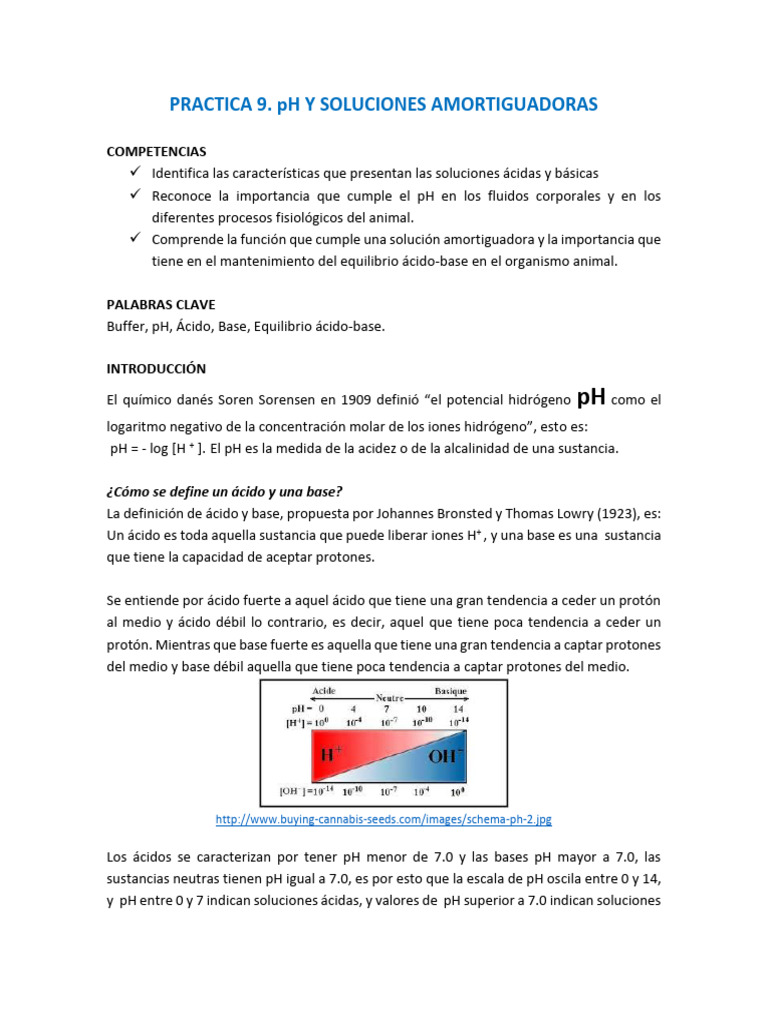 Practica 7. PH y Soluciones Amortiguadoras | PDF