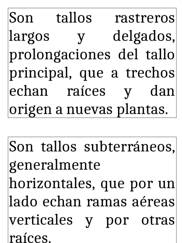 Son Tallos Rastreros Largos y Delgados | PDF