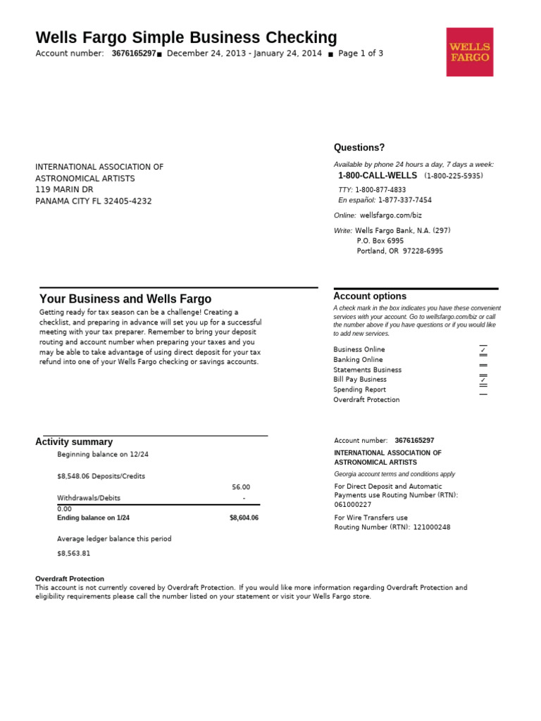 Downloadable Editable Bank Statement | PDF