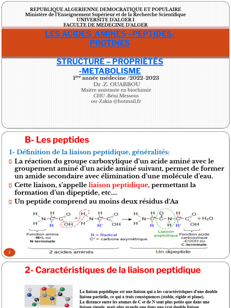 2-Les Protides Et Les Protéines - Structures Et Propriétés | PDF