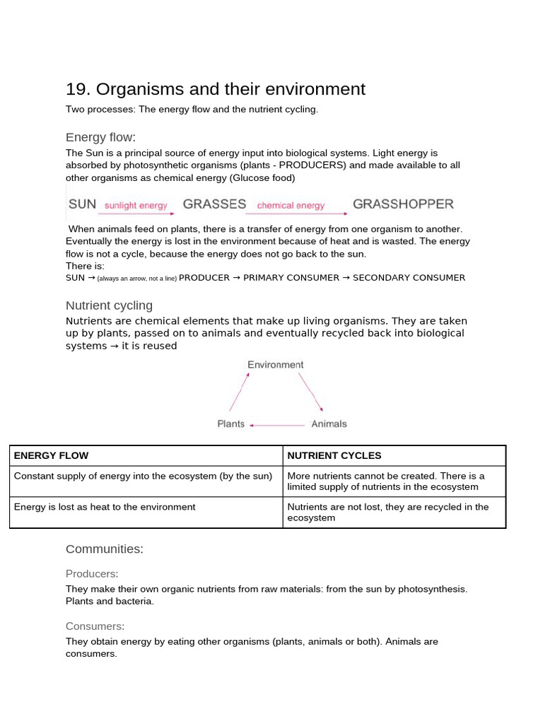 Energy Flow and Nutrient Cycling Explained | PDF | Food Web | Ecosystem
