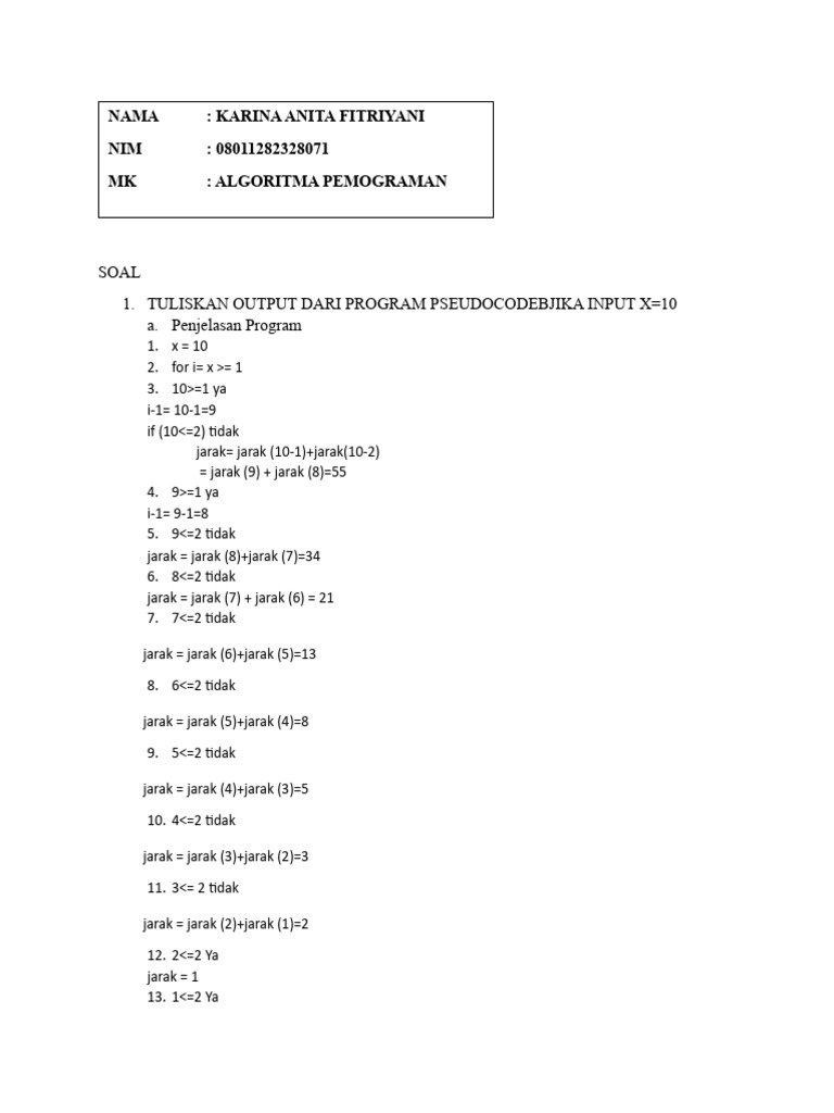 Karina Anita Fitriyani - 08011282328071 - Alpro | PDF