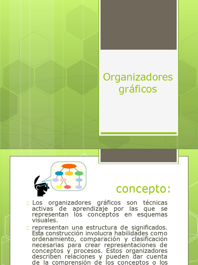 Los Organizadores Graficos | PDF