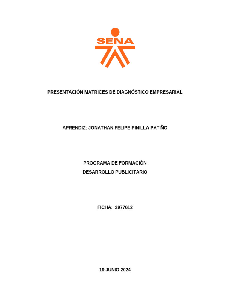 Presentación Matrices de Diagnóstico Empresarial | PDF