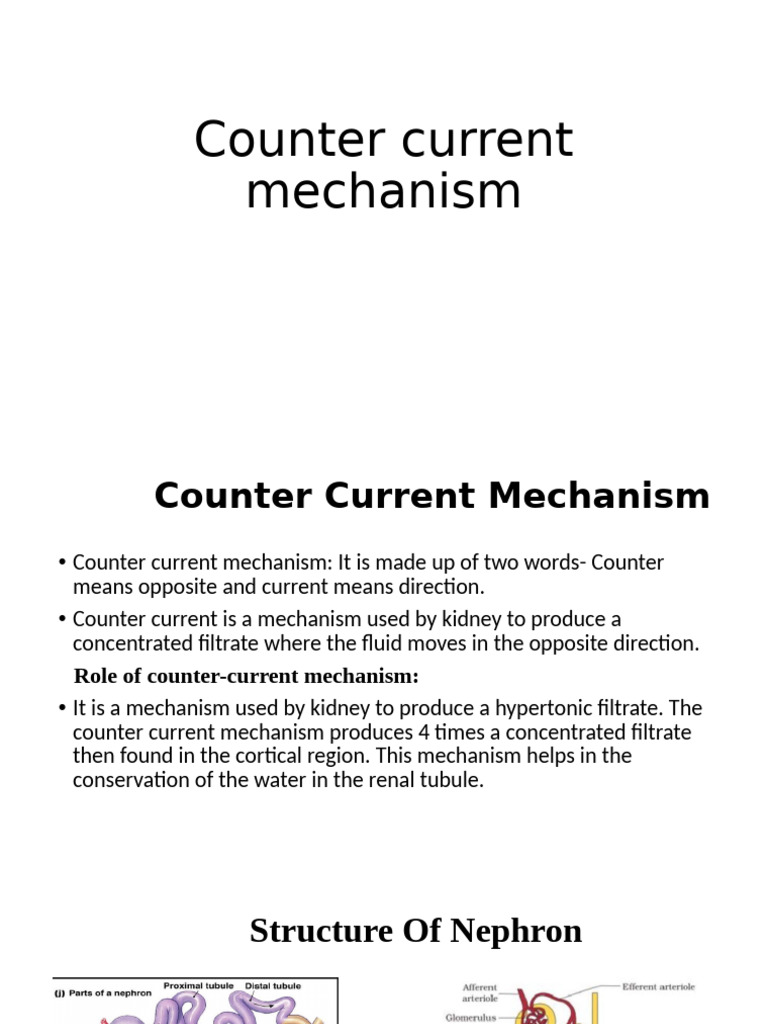 Counter Current Mechanism | PDF